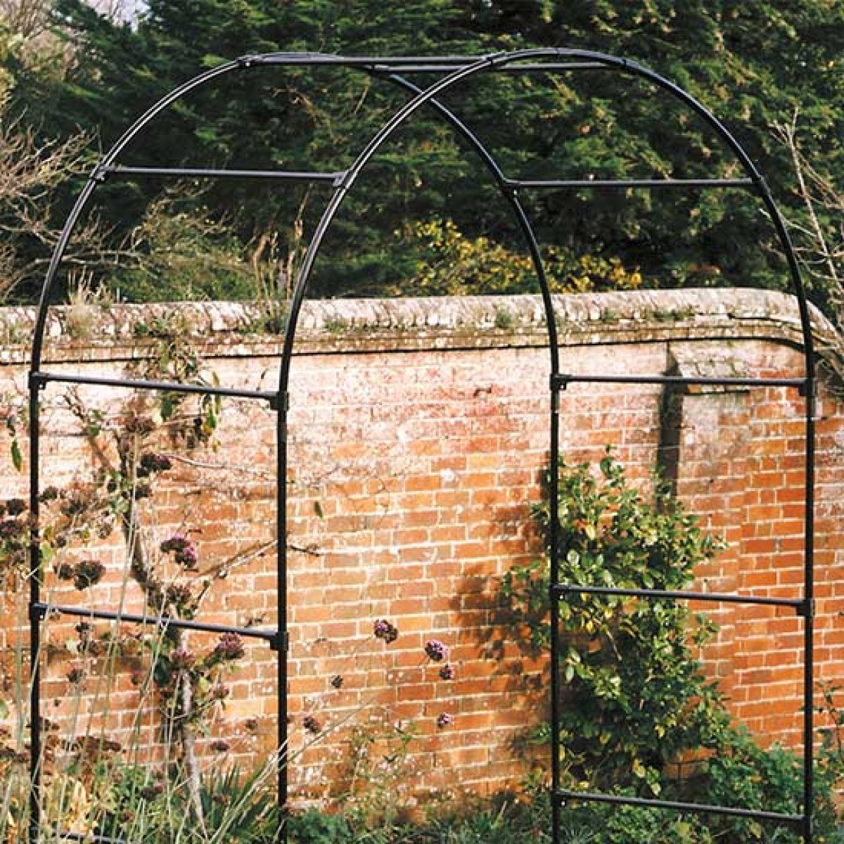 Agriframes Fruit Tree Arch | A Traditionally Designed Beauty
