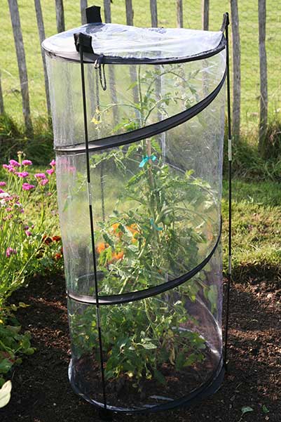 Pop-Up Tomato Cloche